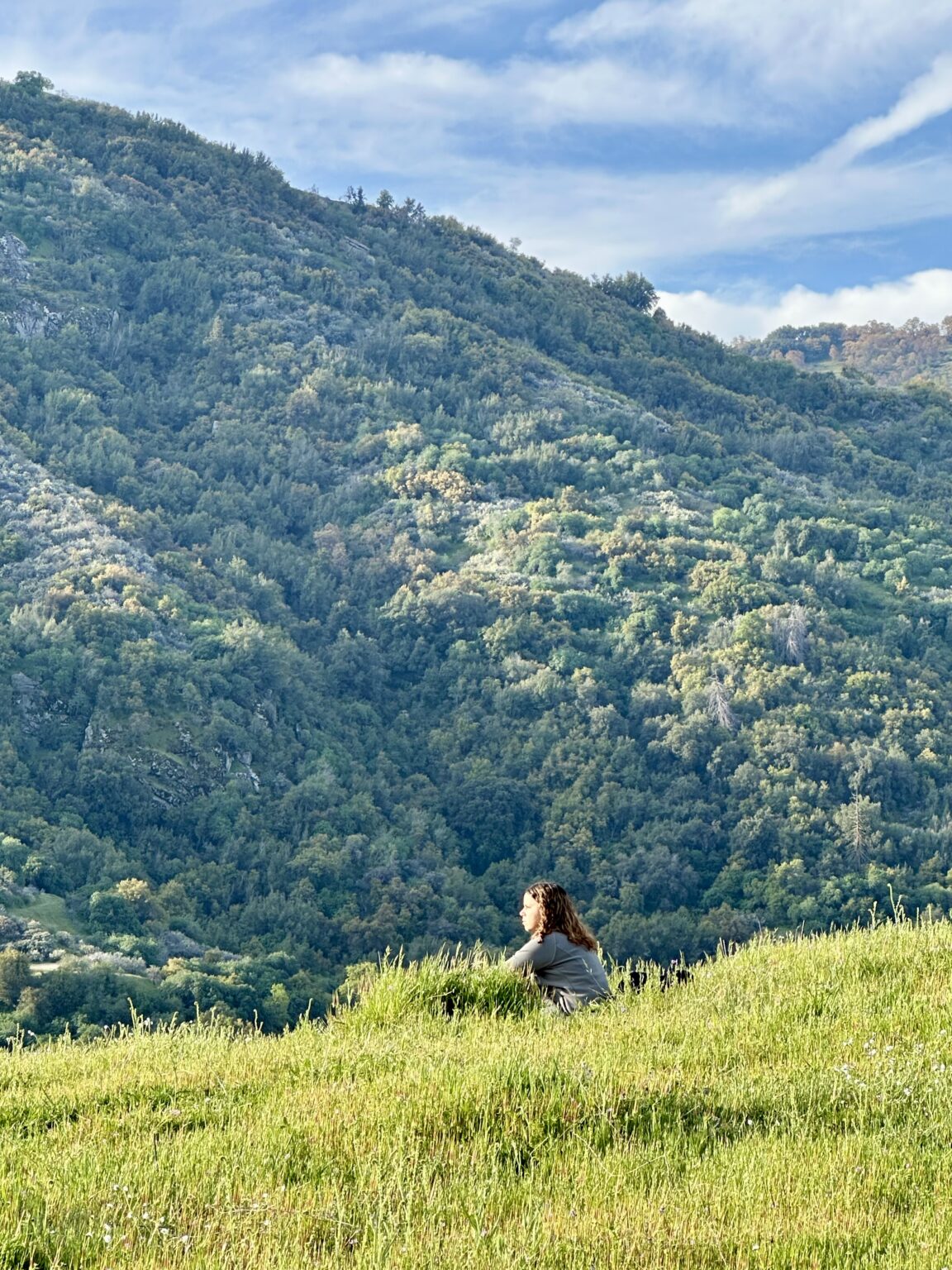 Vedanta Spiritual & Holistic Retreat - Spiritual Retreats in California